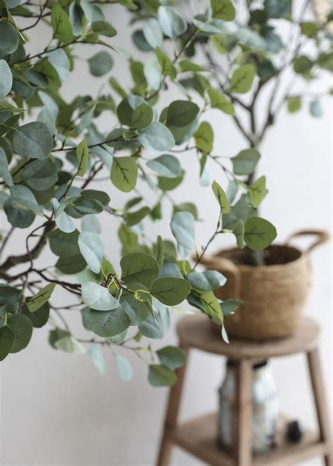 [유러피안 유칼립투스 나무 대형 인테리어 인조목 인조 조화 화분 관상목 장식 플랜테리어] 화분 유칼립투스 조화