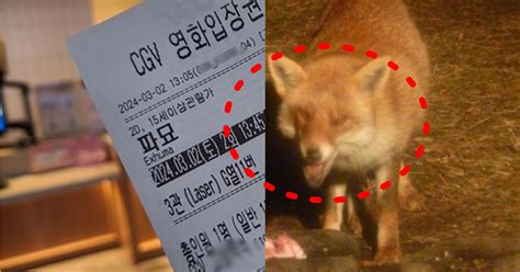 영화 파묘 결말 해석 및 일본 상징 평가 중 관객 가장 비판한 부분 이동진 평점 친일파