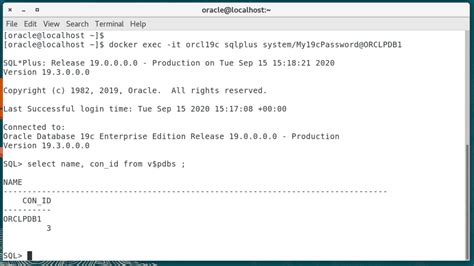 How To Deploy An Oracle Database 19c Docker Container Sean Stacey For What Its Worth