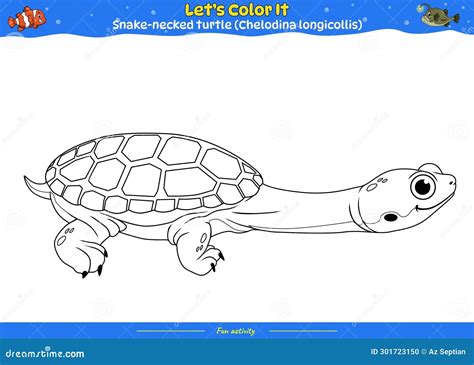 Lets Color It Snake Necked Turtle Stock Vector Illustration Of