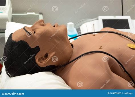 Defibrillator On A Dummy Doll For Practice Cpr Dummy For Training