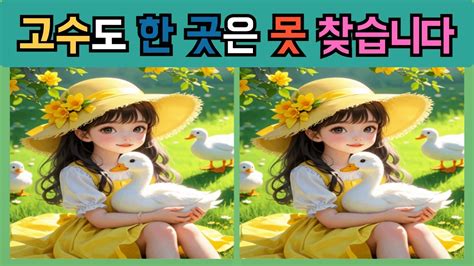 틀린그림찾기 고수도 한 곳은 못 찾습니다 집중력 항상 게임 치매 예방 퀴즈 다른그림찾기 Youtube