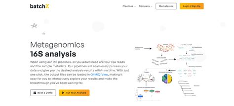 Metagenomics 16s Analysis Batchx Supercharge Your Research With Our End To End