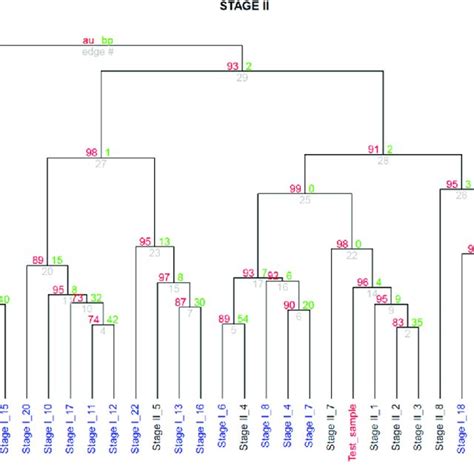 The Similarity Based Hierarchical Clustering Plot Shows The