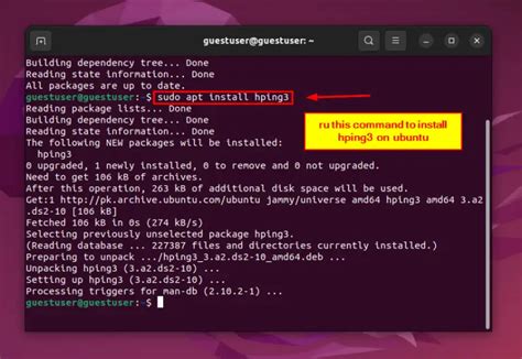 How To Do A Udp Ping In Linux 3 Effective Methods