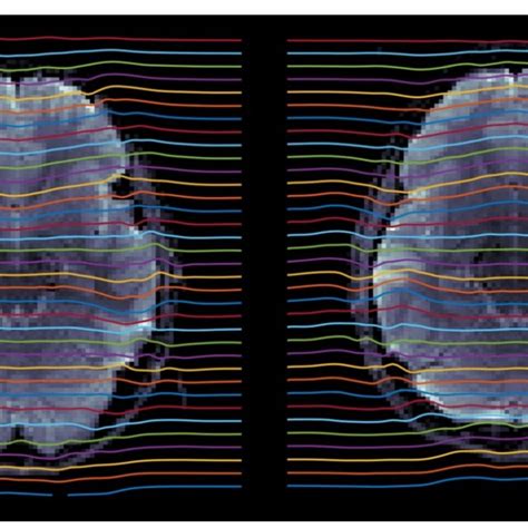 example of functional data background image and estimated