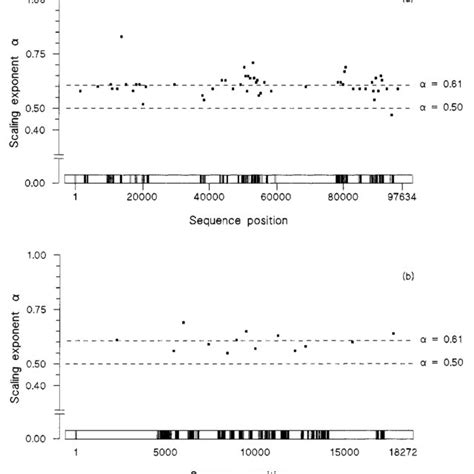 A Scaling Exponent Values In Segments Longer Than 200 Bp After