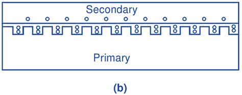 Linear Induction Motor Construction Diagram Working Principle