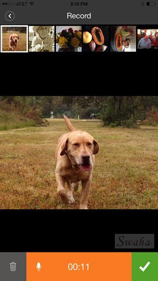 1000 Images About Adult Speech And Language Apps Supports On Pinterest