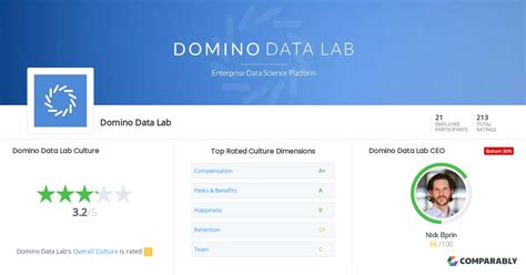 Domino Data Lab Culture Comparably