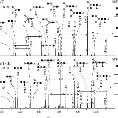 Normal Phase Hplc Analysis Of 2 Ab Labeled N Linked Glycans Isolated Download Scientific