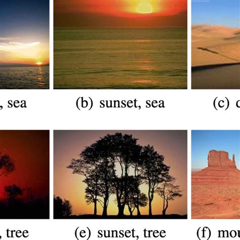 Samples With Multiple Labels From The Dataset Nus Wide Download