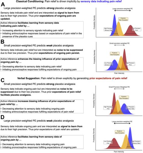 Does Active Inference Provide A Comprehensive Theory Of Placebo Analgesia Biological