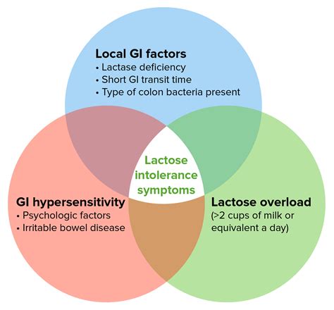 Lactose Intolerance Diagram