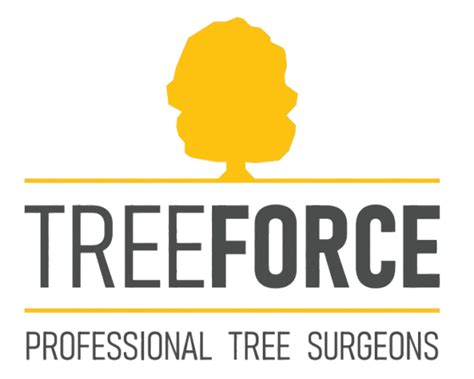 Contact Us Tree Force Professional Tree Surgeons