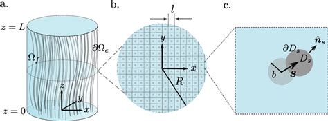 Figure 21 From A Homogenised Model Of Fluid String Interaction