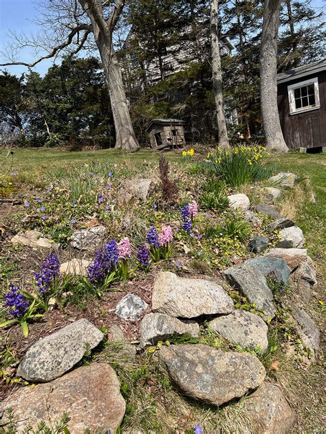 Spring On Cape Cod