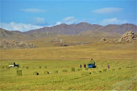 Харгана толгой БАХ 21 тн хадлан бэлтгэлээ Монголын бэлчээр ашиглагчдын нэгдсэн холбоо ТББ