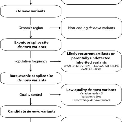 Schematic Overview Of Patient Inclusion De Novo Variant Filtering