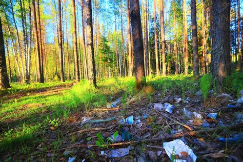 Premium Photo Forest Garbage Dump Ecology Concept Pollution Nature