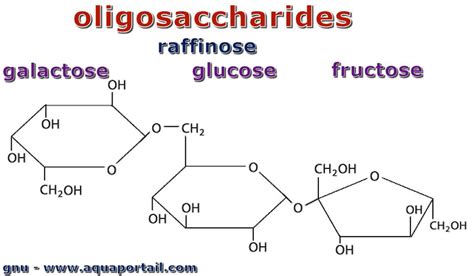 Oligosaccharides And Gas
