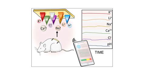 In Vivo Transdermal Multi Ion Monitoring With A Potentiometric Microneedle Based Sensor Patch
