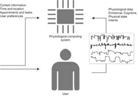 Bio Cybernetic Feedback Loop Structure Download Scientific Diagram
