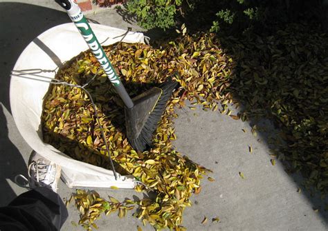 How To Apply Mulch 9 Steps With Pictures WikiHow