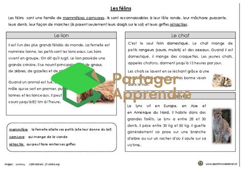 Part App Compréhension lecture documentaires