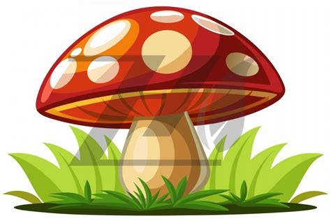 دانلود وکتور کارتونی قارچ دانلود رایگان فایل لایه باز، Psd، وکتور، لوگو و موکاپ