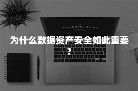 为什么数据资产安全如此重要 墨天轮