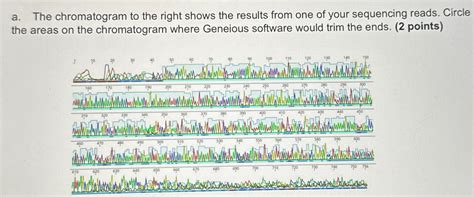 Solved A ﻿the Chromatogram To The Right Shows The Results