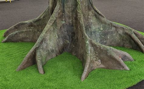 Beautiful Reading Tree For Babe Library Natureworks Australia