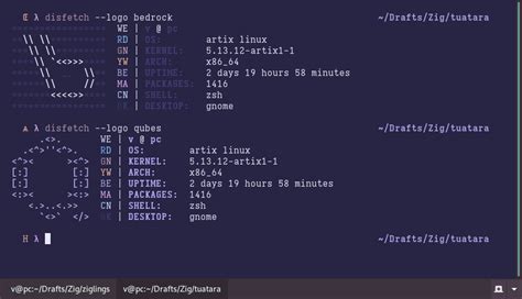 disfetch another unix distro fetching program but less complex r