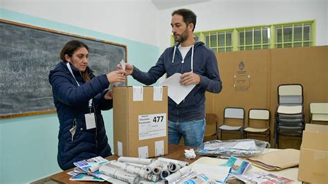 Así fue como las aves lograron sobrevivir a la extinción masiva durante la era de los
