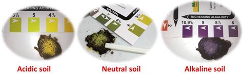 About Soil PH Manutec Soil PH Testing