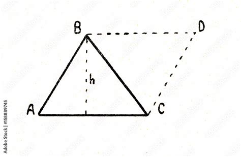 theorem area of triangle is equal to the half of area of