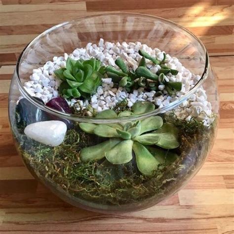 Small Garden In A Glass Bowl Arrangements Ideas With Succulent Plants