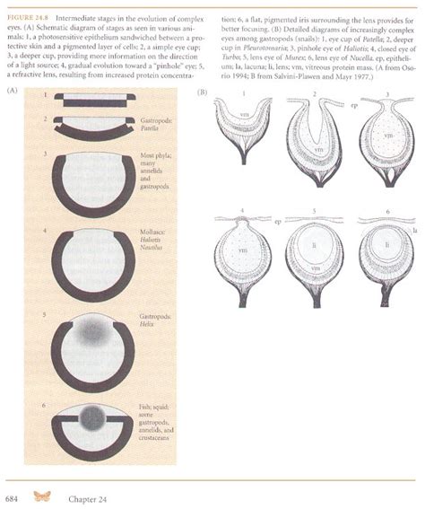 Darwinism â€“ Science Or Secular Religion Cross Currents