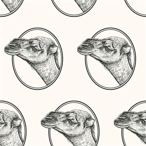 Premium Vector Seamless Pattern With Portrait Of Camel