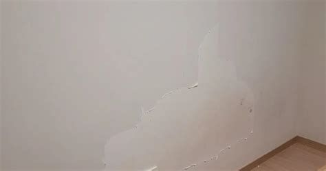 다른 좋은 점도 고르고 싶은데 최대 3개밖에 선택을 못해서 아쉽네요 정말 깔끔하게 잘 작업해 주셨습니다 새 집 같네요 추천합니다 숨고 숨은고수