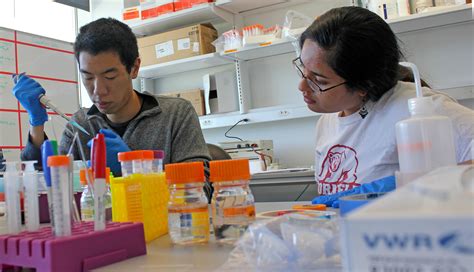 Teamcornelldylan Scratch Notebook