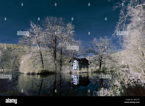 Infrared Photography Surreal Ir Photo Of Landscape With Trees Under Cloudy Sky The Art Of