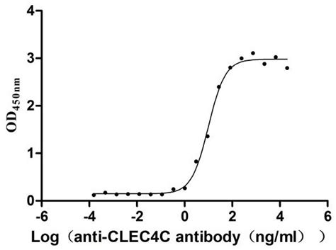 Recombinant Human Clec4c Cd303 Biological Activity Verified Cusabio