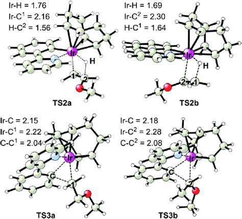 Optimized Geometric Structures Of Transition States Involved In The