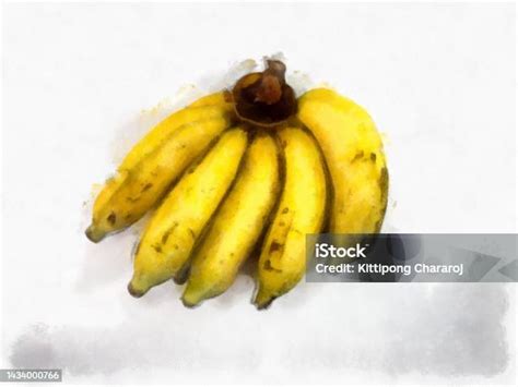 흰색 배경 수채화 스타일 일러스트 인상파 그림에 바나나 과일에 대한 스톡 벡터 아트 및 기타 이미지 과일 노랑 수평 구성 Istock