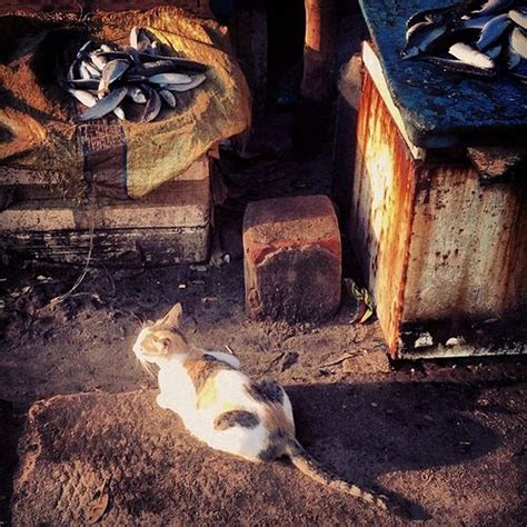 If I Wait Long Enough Artofit