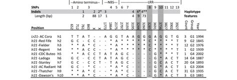 Nucleotide Polymorphism Of 10 Haplotypes Inferred From 95 Wheat