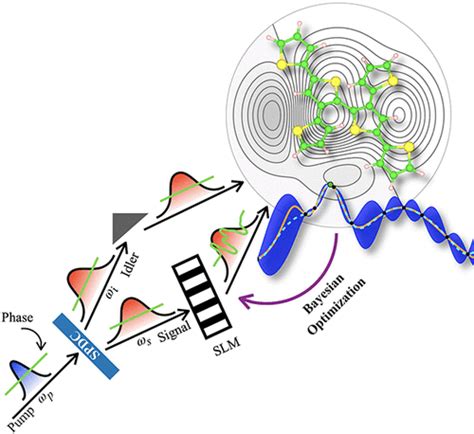 Manipulating Two Photon Absorption Of Molecules Through Efficient Optimization Of Entangled