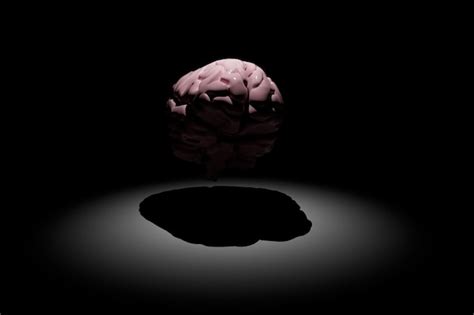 Premium Photo Human Brain On A Black Background With A White